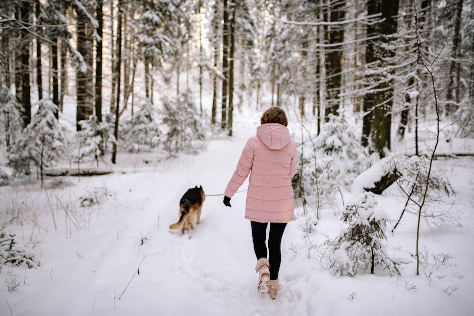 7 Beste Winterjacken – Lass Dich Nicht von der Kälte Abhalten!